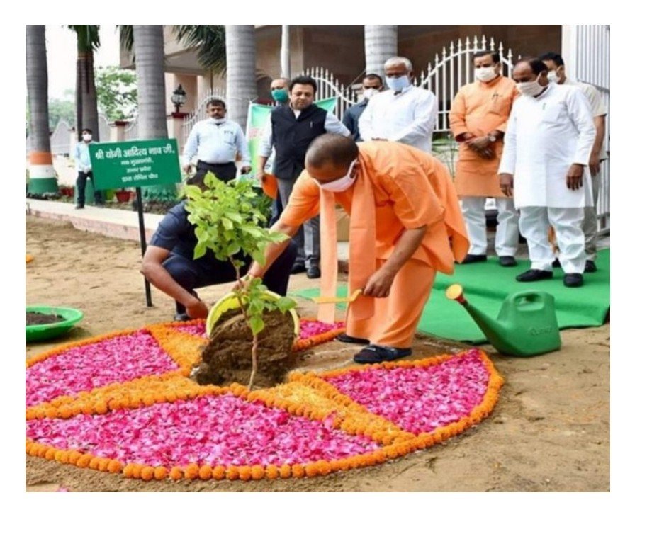 UP Government launches "Mission Vriksharopan-2020" drive | INDIAN ...