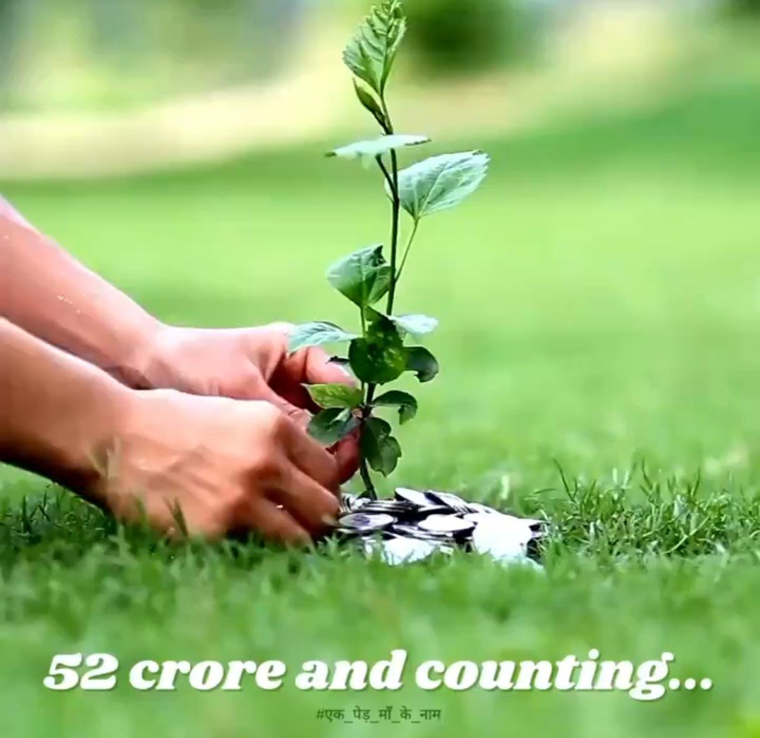 Over 52 Crore Trees Planted Nationwide Under ‘Ek Ped Maa Ke Naam ...